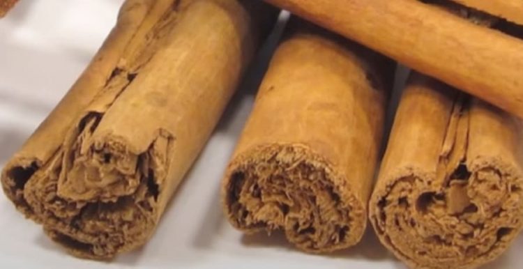 Tipos de CANELA - Canela de SAIGÓN ¿Mejores PROPIEDADES?